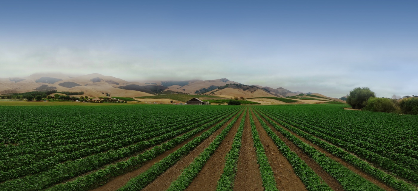 Growing the best produce on California's Central Coast since 1948 ...